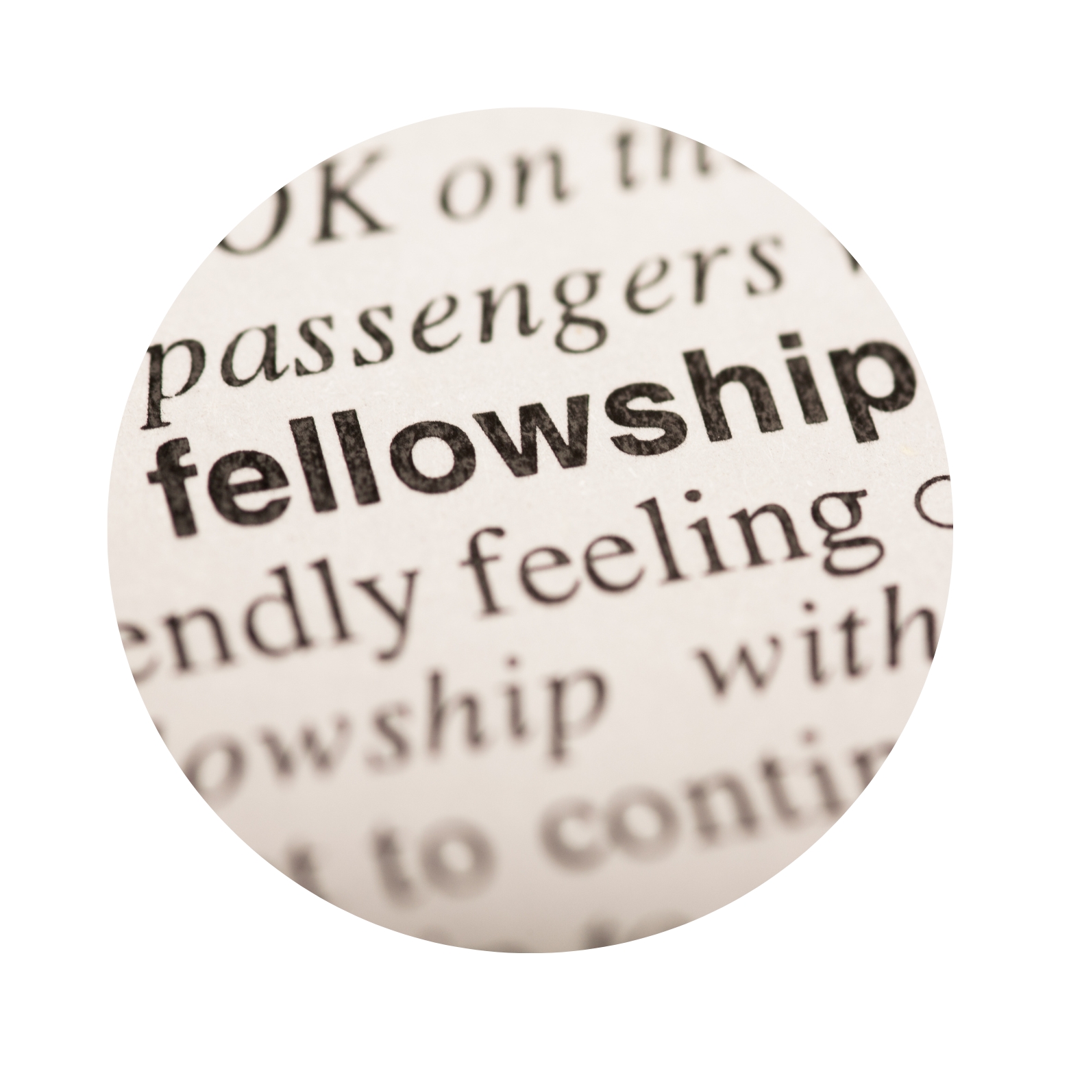JobShobNest - Where Passion Meets Purpose